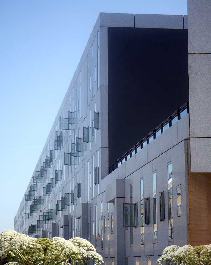 【entasis】什么意思_英语entasis的翻译_音标_读音_用法_例句_在线翻译_有道词典